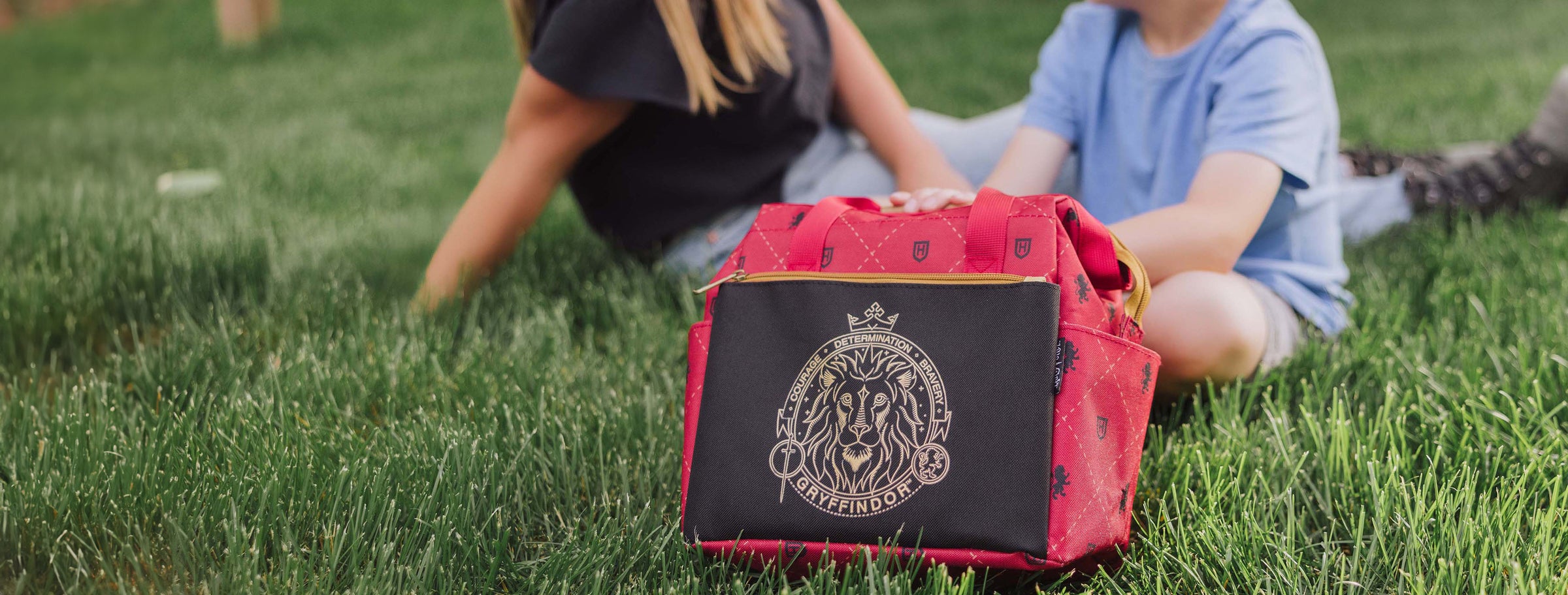 Picnic Time Family of Brands - Premium Products for Making Memories